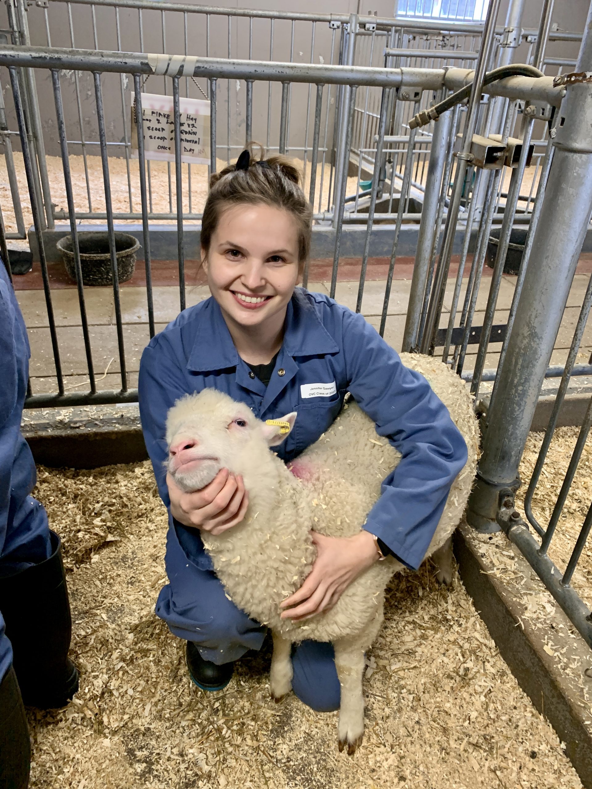 Veterinary Student Blog – Life of a Vet Student
