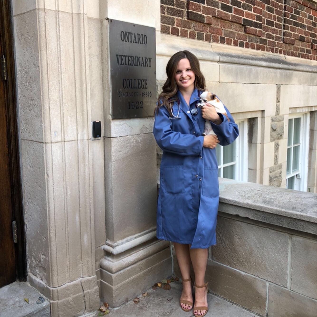 5 Tips For Getting Into Vet School - Veterinary Student Blog