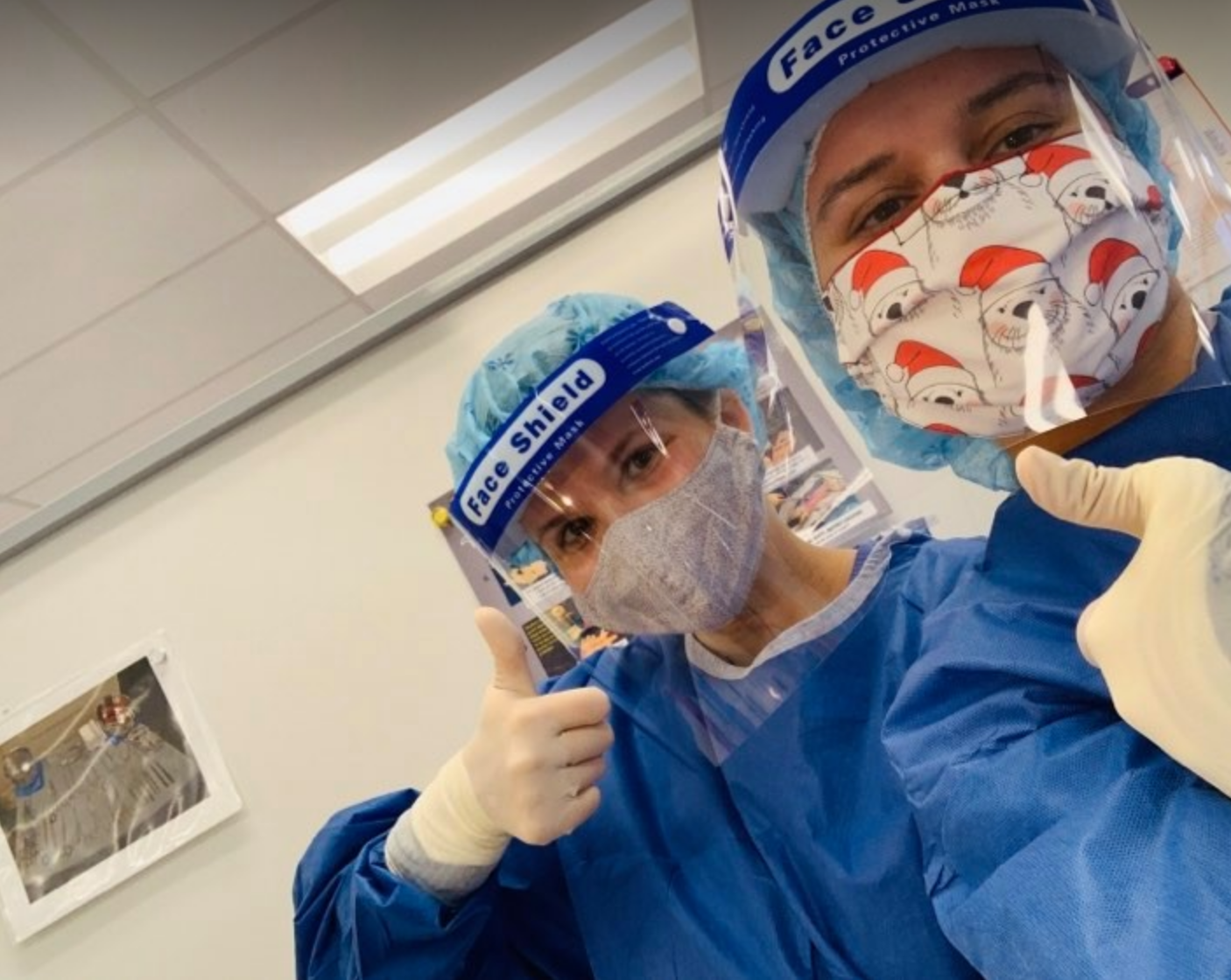 A Day In The Life Of A (2nd Year) Vet Student – Veterinary Student Blog
