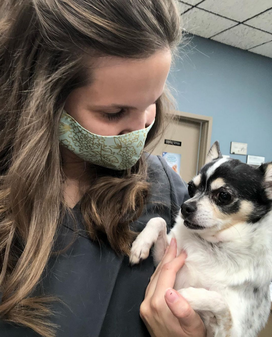 A Day In The Life Of A (2nd Year) Vet Student – Veterinary Student Blog