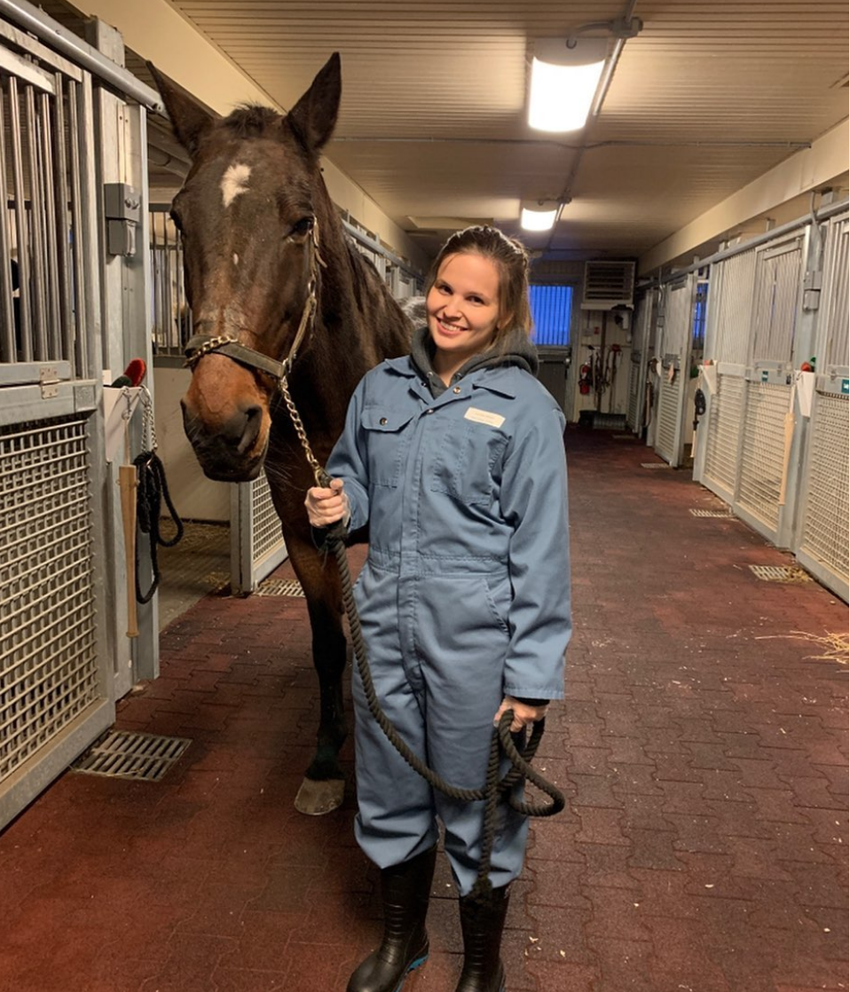 A Day In The Life Of A (2nd Year) Vet Student - Veterinary Student Blog