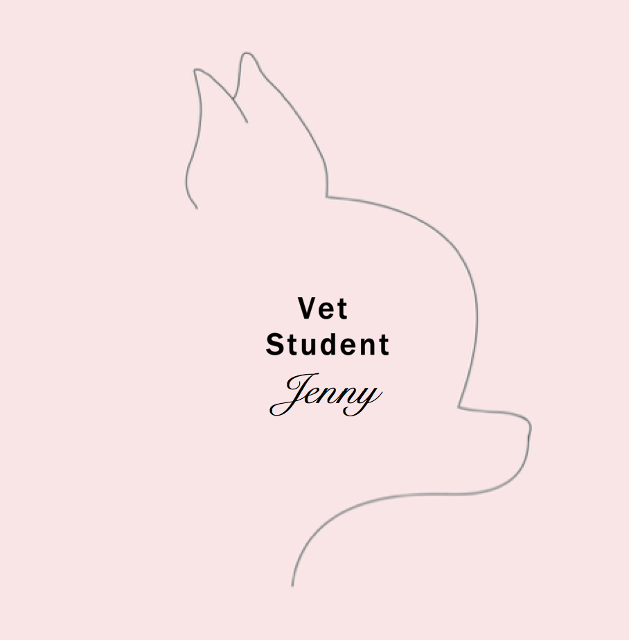 Veterinary Student Blog – Life of a Vet Student